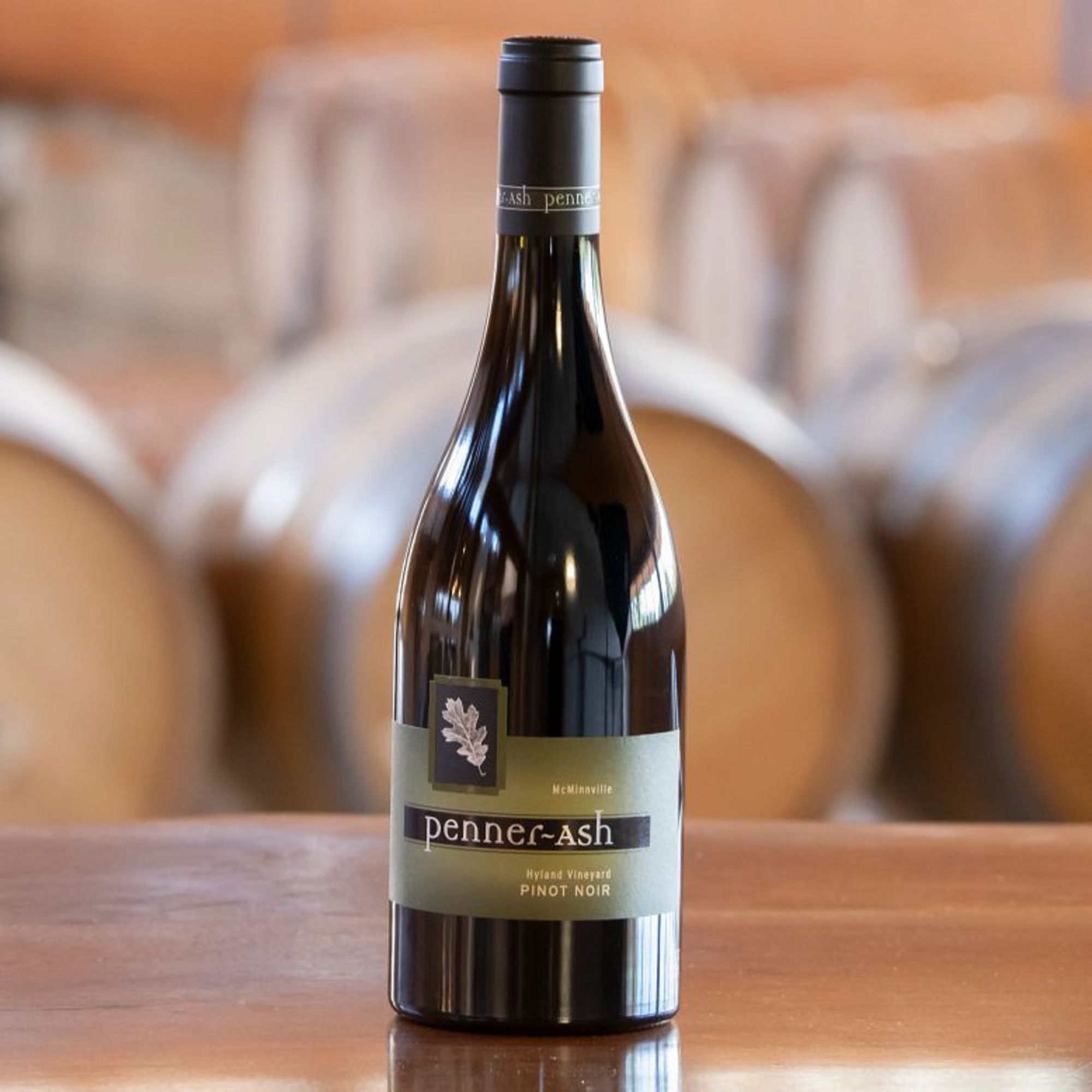 Pinot Noir | Penner-Ash Wine Cellars