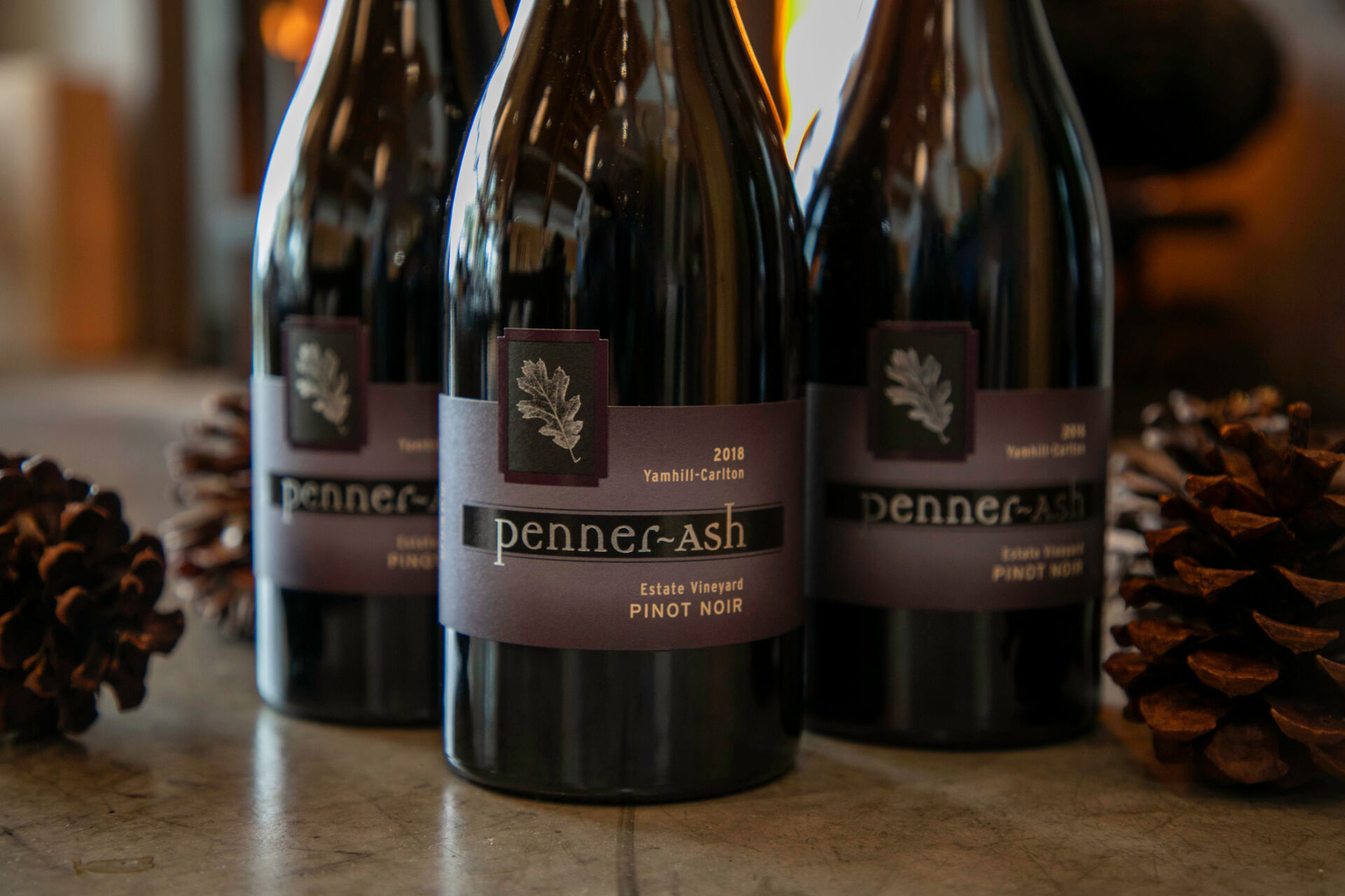 Estate Vineyard Vertical | Penner-Ash Wine Cellars